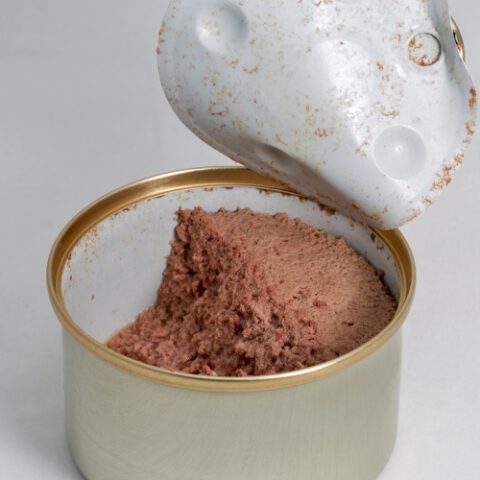 สำหรับแมว - Green Line Pet Care Company limited